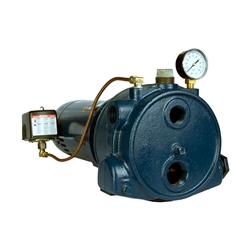 Franklin Electric 91140010 RM2 Convertible Jet Pump 1 HP